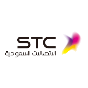 STC - PEDCO LTD